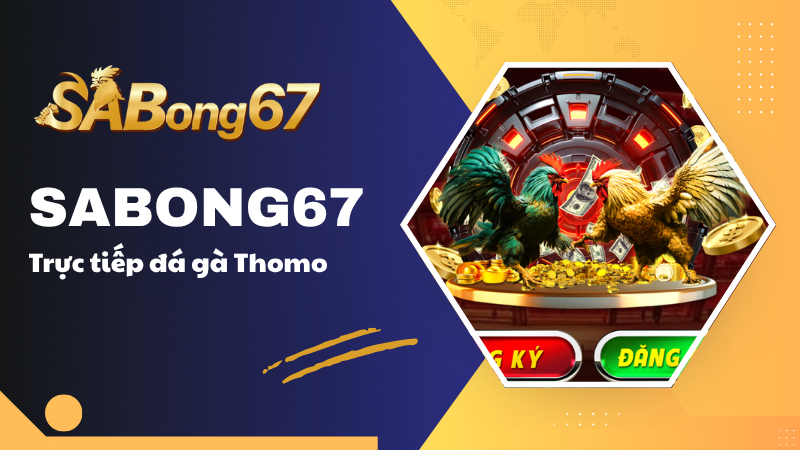 SABONG67 - Trực Tiếp Đá Gà Thomo CPC1, CPC2, CPC3