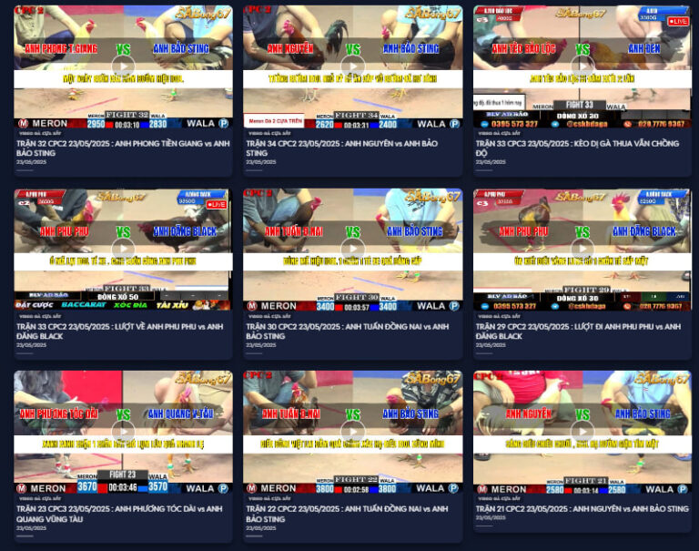 SABONG67 - Trực Tiếp Đá Gà Thomo CPC1, CPC2, CPC3